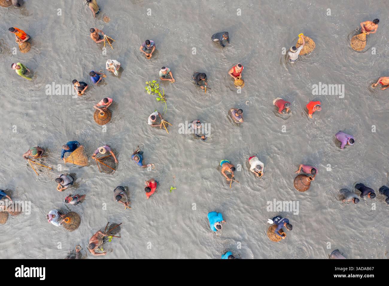 Aerial view of 'Baut Utshav,' a traditional fishing festival in Chalan ...