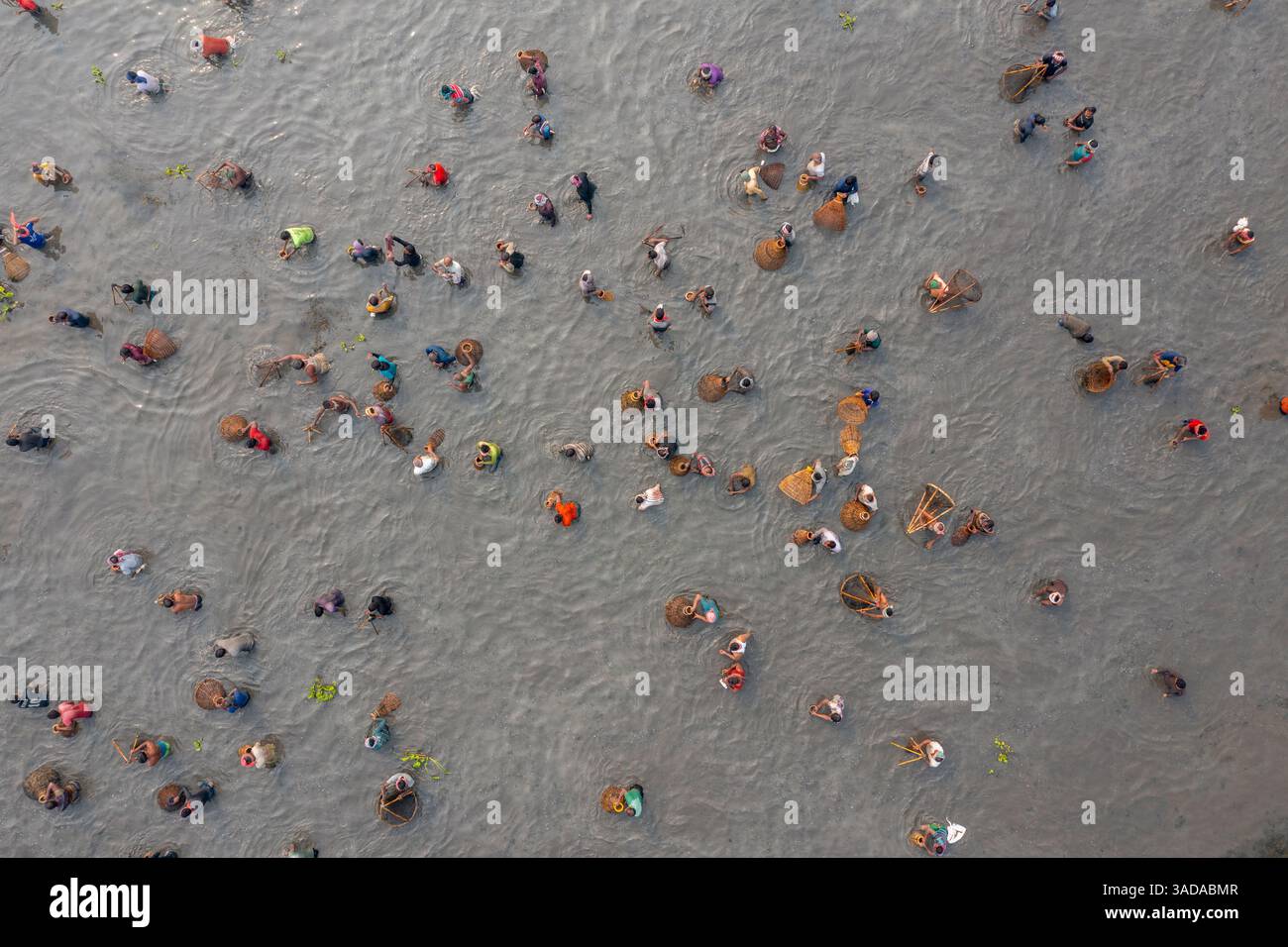 Aerial view of 'Baut Utshav,' a traditional fishing festival in Chalan ...