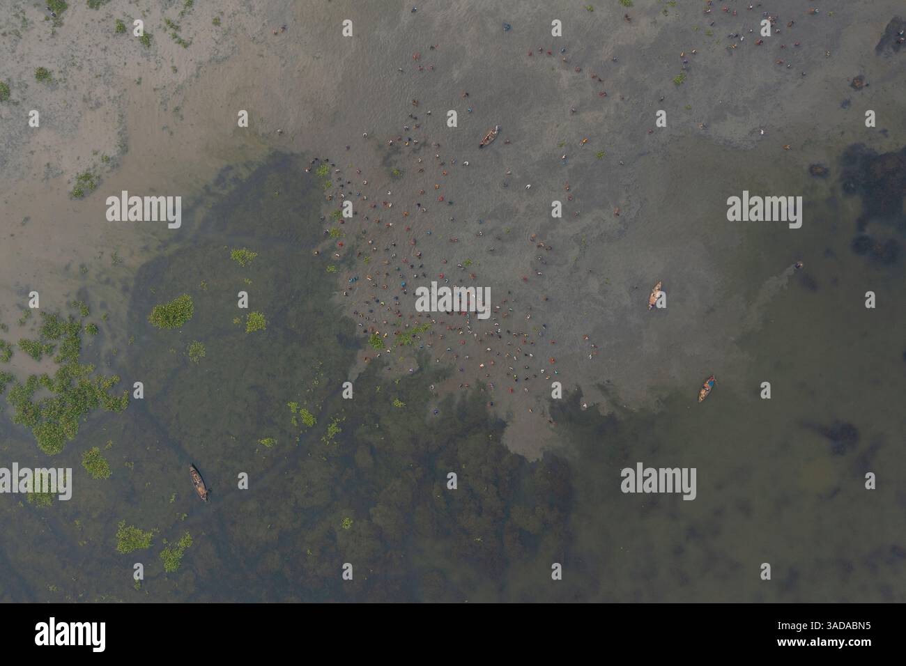 Aerial view of 'Baut Utshav,' a traditional fishing festival in Chalan ...