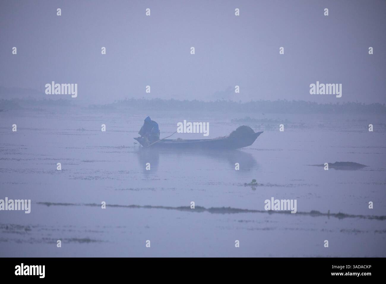 A fisherman catches fish in Chalan Beel on a foggy winter morning in ...