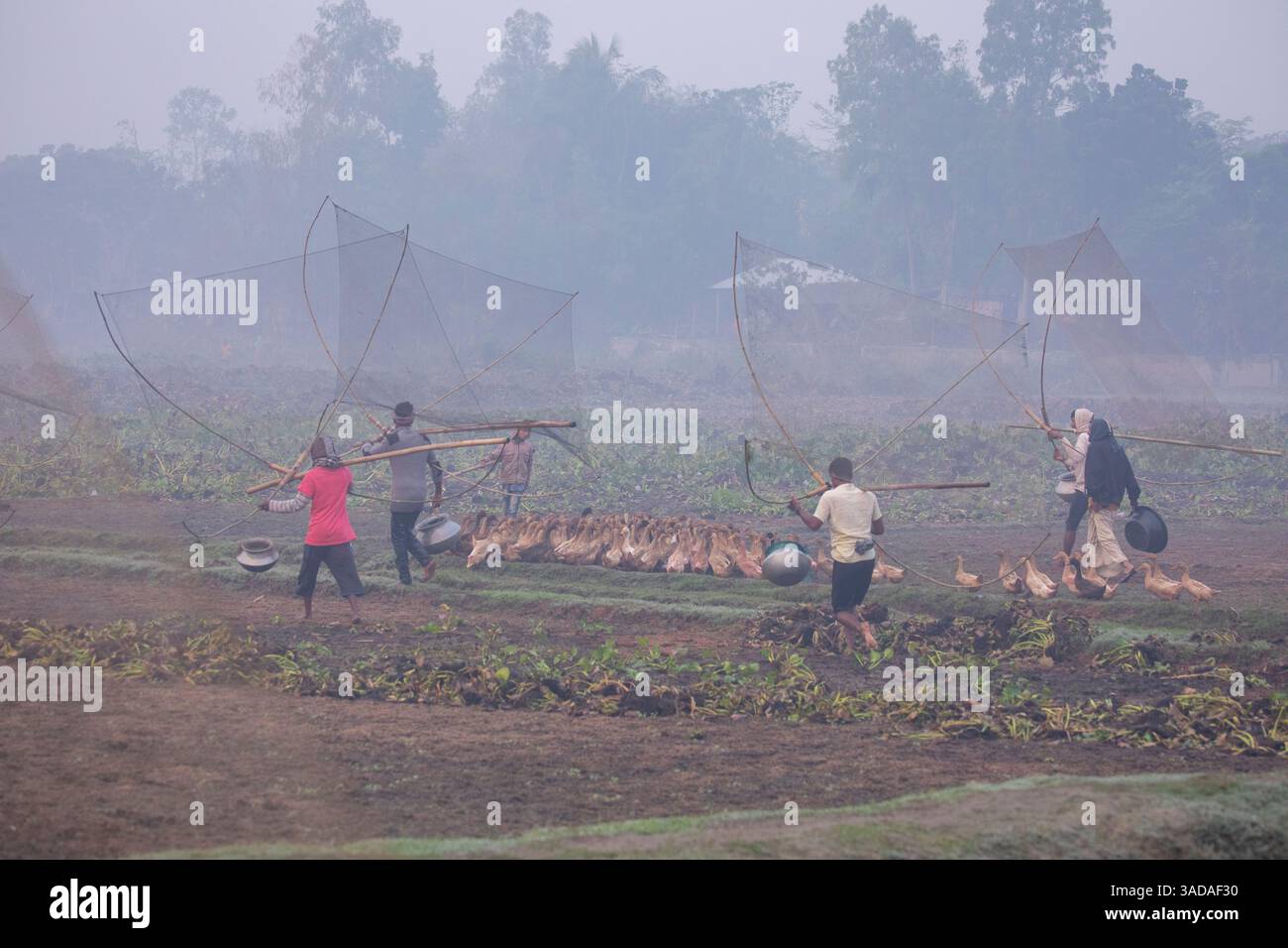 Fishermen make their way to Dikshir Beel on a foggy winter morning to ...
