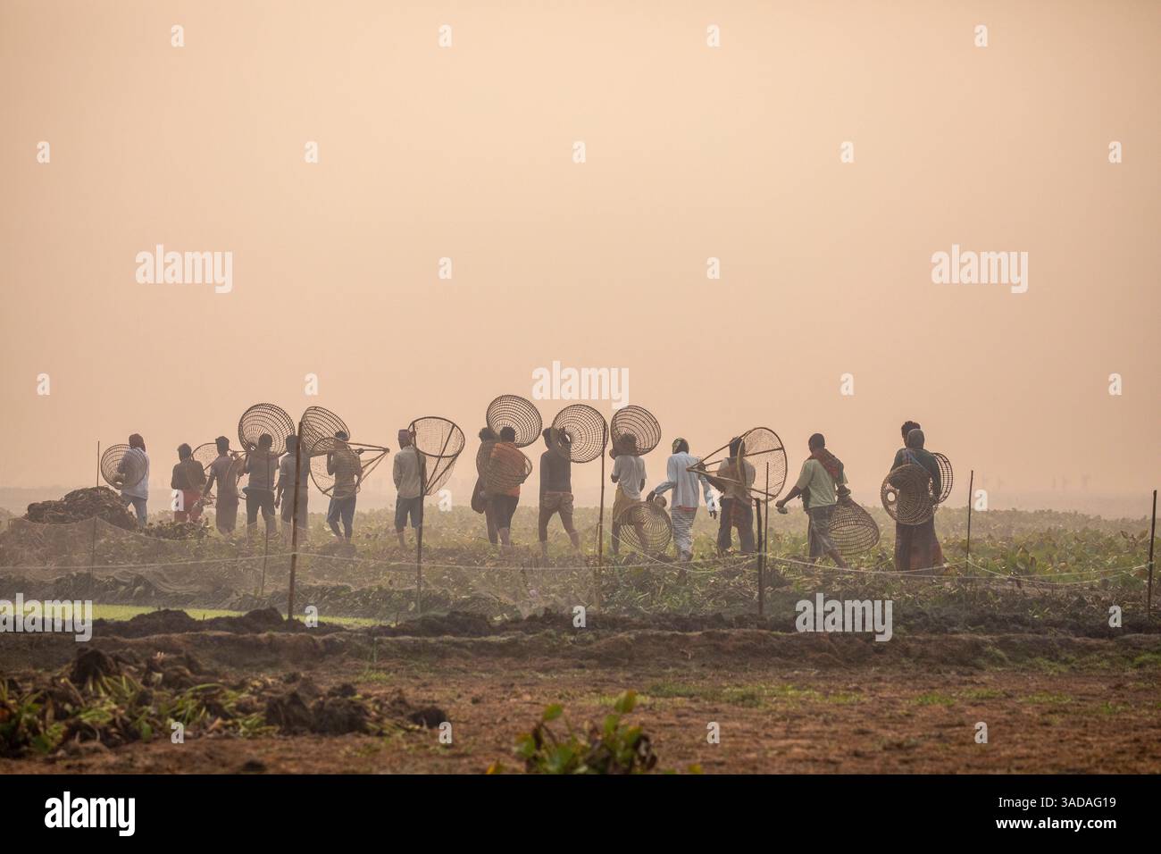 Fishermen make their way to Dikshir Beel on a foggy winter morning to ...