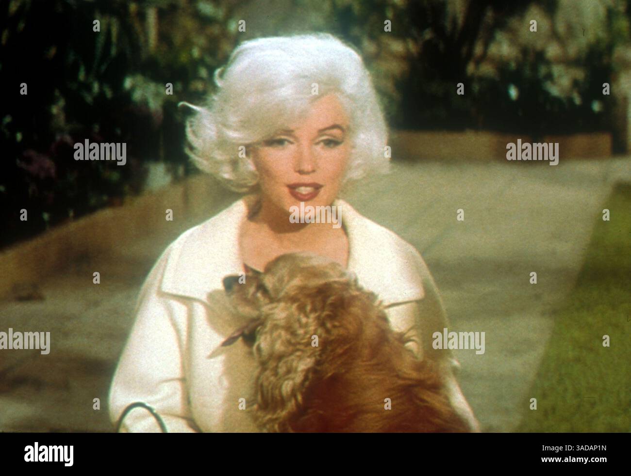 Jan 01, 1962; Los Angeles, CA, USA; Actor MARILYN MONROE stars in ...