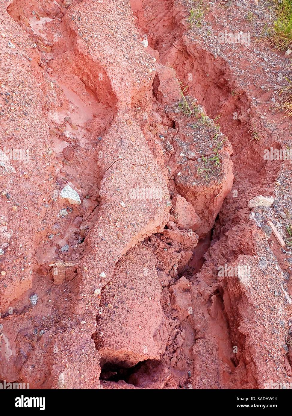 Soil erosion caused by clearing of forest cover, Sao Paulo, Brazil ...
