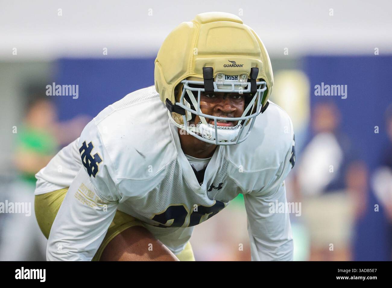 South Bend, Indiana, USA. 05th Apr, 2025. Notre Dame defensive lineman ...