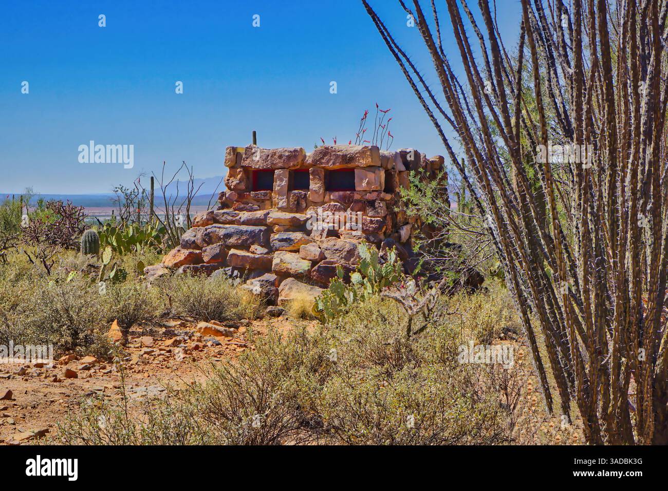 Restroom built about 75 years ago in the Saguaro National Park by young ...