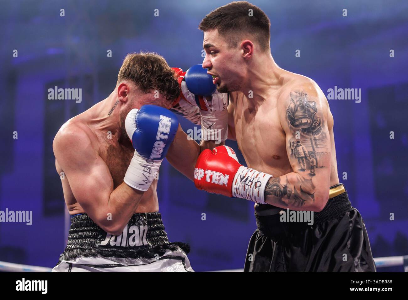 Potsdam, Germany. 05th Apr, 2025. Boxing: WBO Youth World Super ...