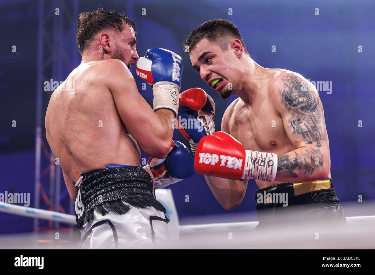 Potsdam, Germany. 05th Apr, 2025. Boxing: WBO Youth World Super Welterweight Championship, MBS ...