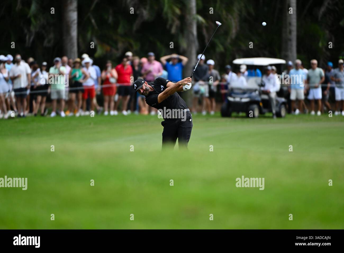 Dustin Johnson, Captain of the 4Aces GC hits a shot from the rough ...