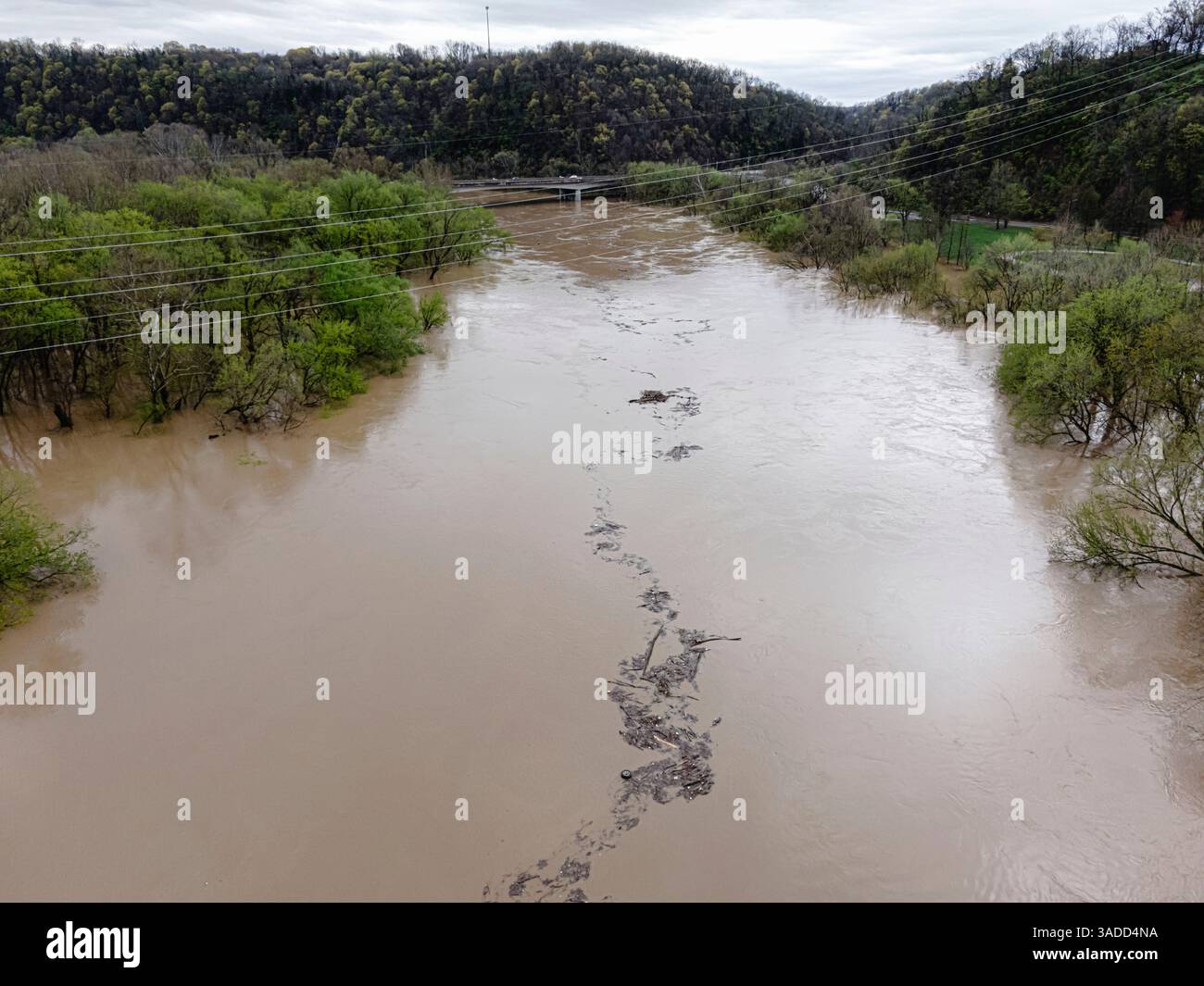 An aerial view of debris floating down the flooded Kentucky River ...