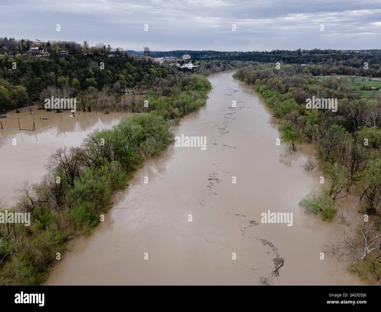 An aerial view of debris floating down the flooded Kentucky River ...