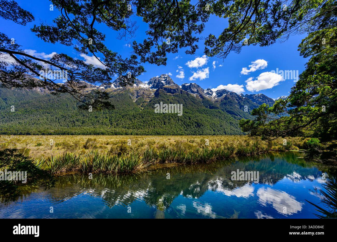 Beautiful reflections on mirror hi-res stock photography and images - Alamy