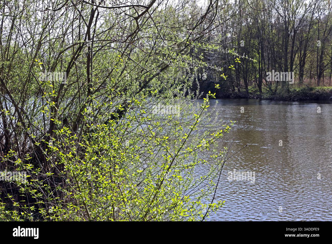 Naturschutzgebiete in Deutschland Das Essener Naturschutzgebiet ...