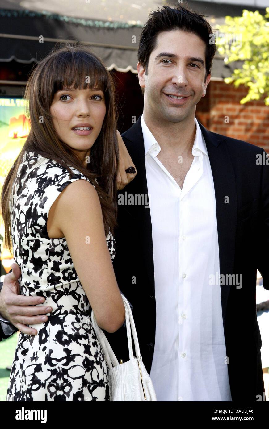 WESTWOOD, CA - OCTOBER 26, 2008: Zoe Buckman and David Schwimmer at the ...