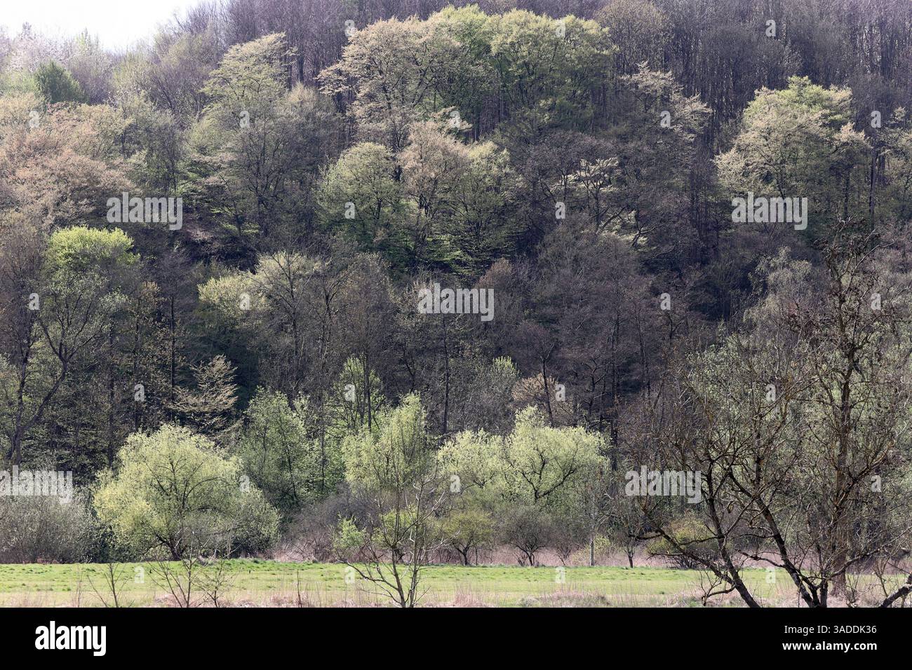 Naturschutzgebiete in Deutschland Das Essener Naturschutzgebiet ...