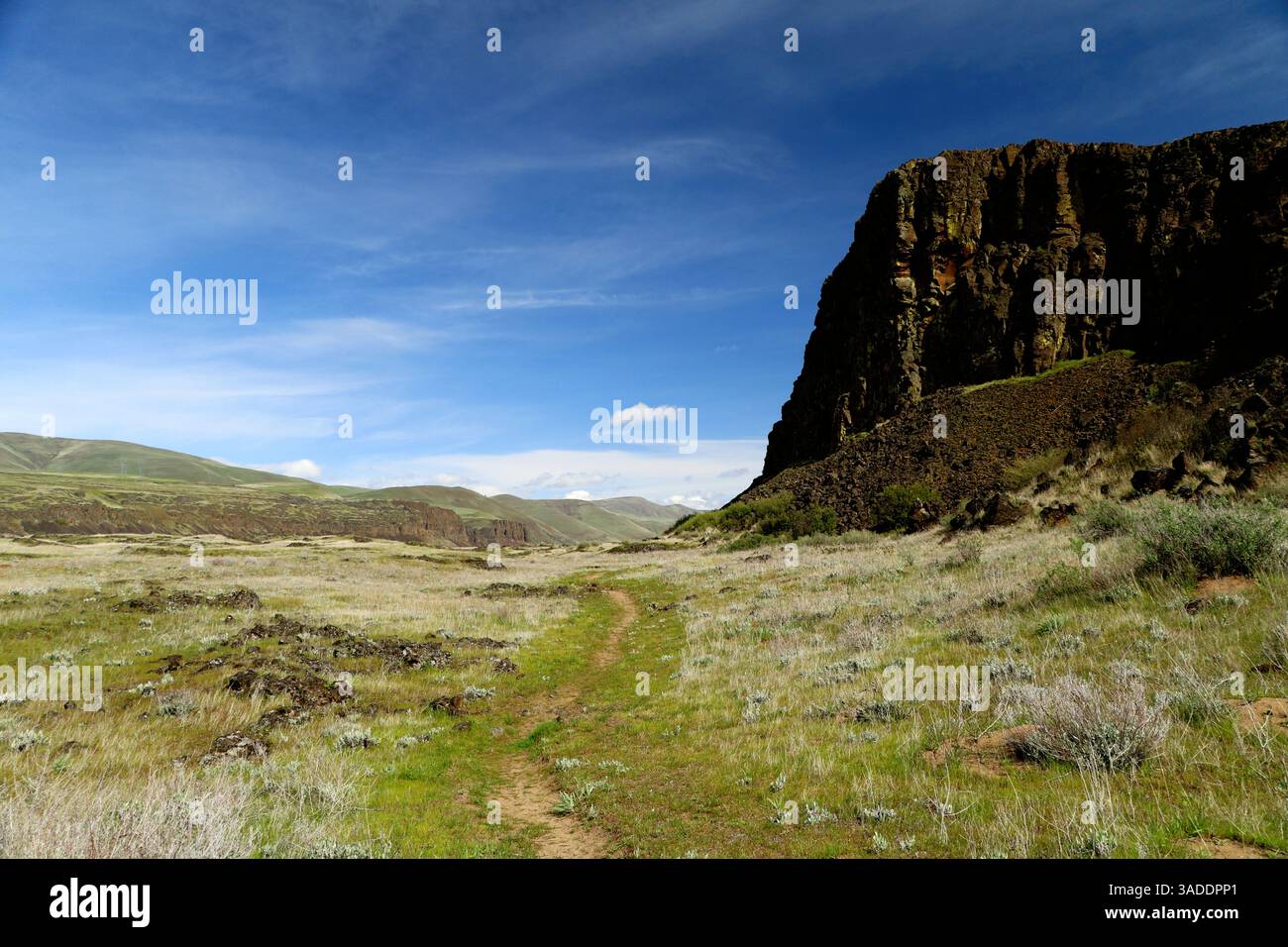 A path winding through a grassy high desert landscape with Horsethief ...