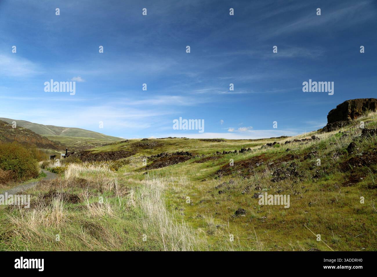 A high desert landscape with rocks, dead white brush and a blue sky ...