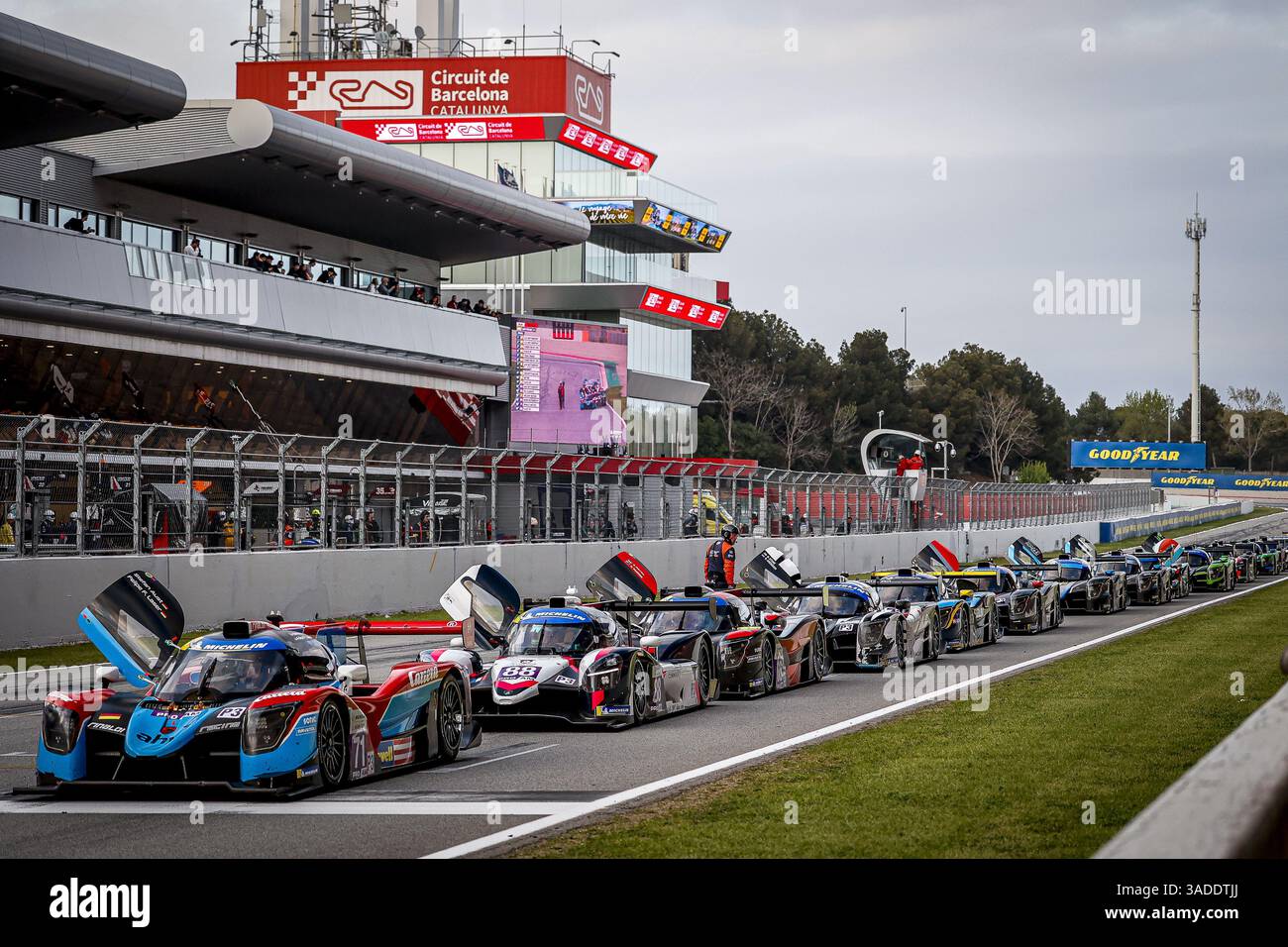 Red flag, 71 AUST Stefan (ger), LASER Felipe Fernandez (ger), Rinaldi ...