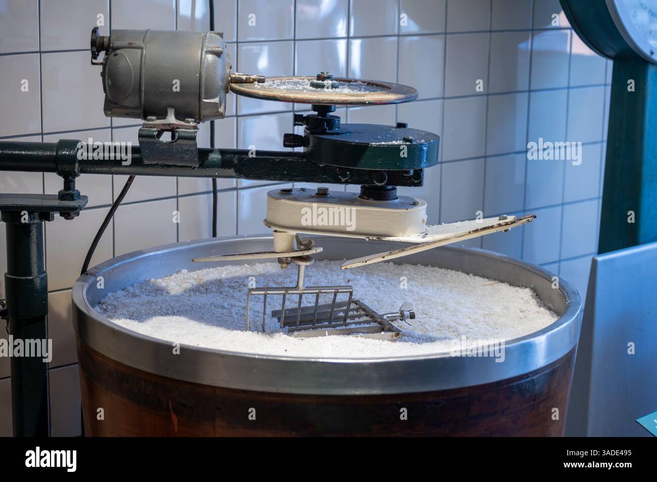 Cow's milk cheese production process at cheese factory in North Holland ...