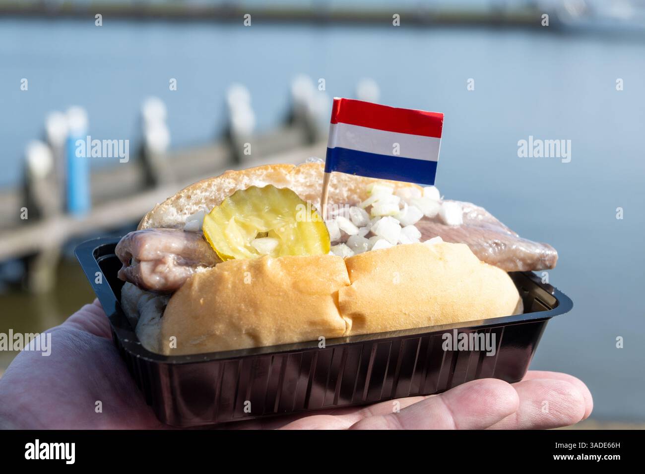 Famous barrel salted herring fish from the North Sea, fresh bun with ...