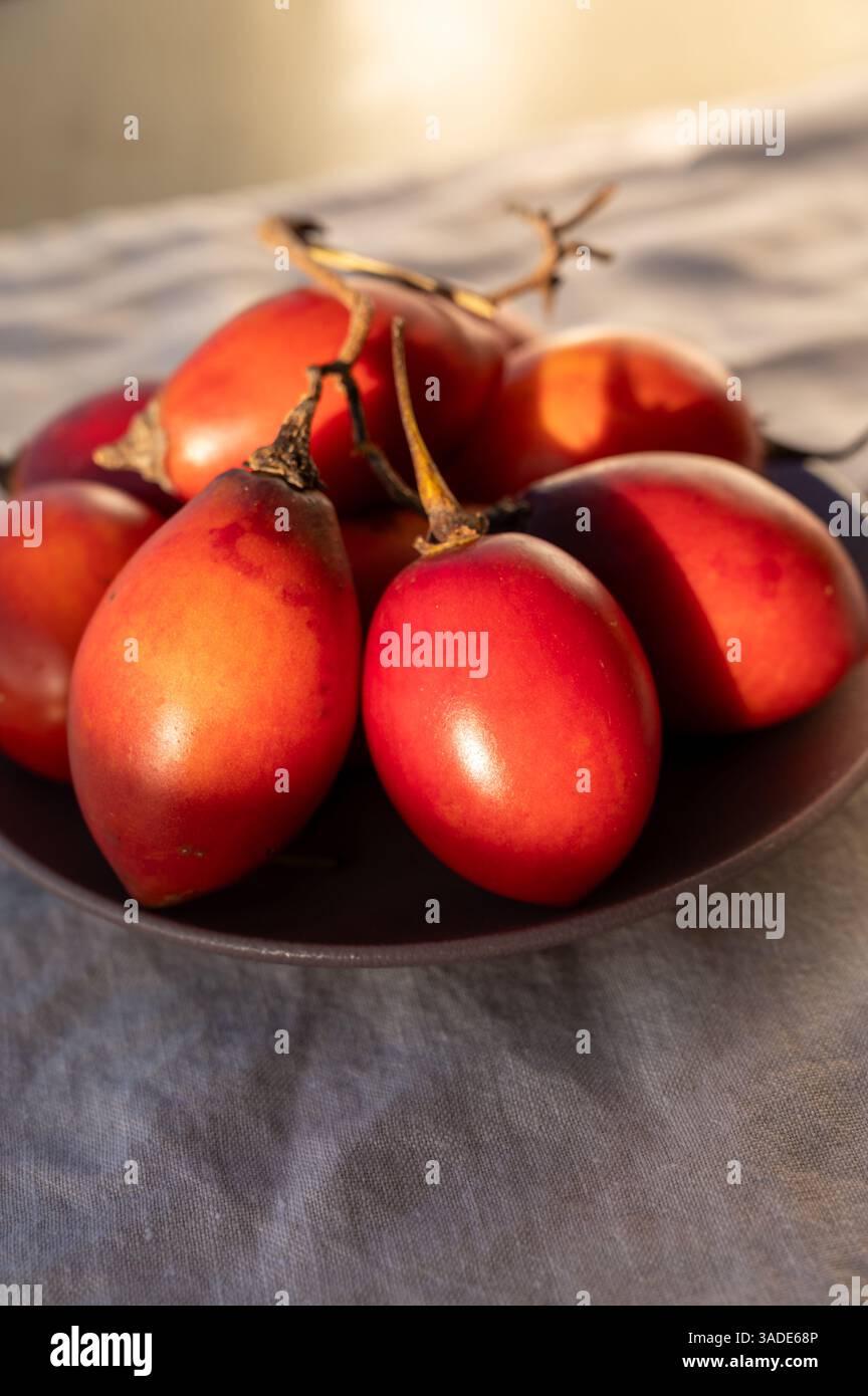 Eco farming in Spain, organic ripe red tamarillo tomato tree tropical ...