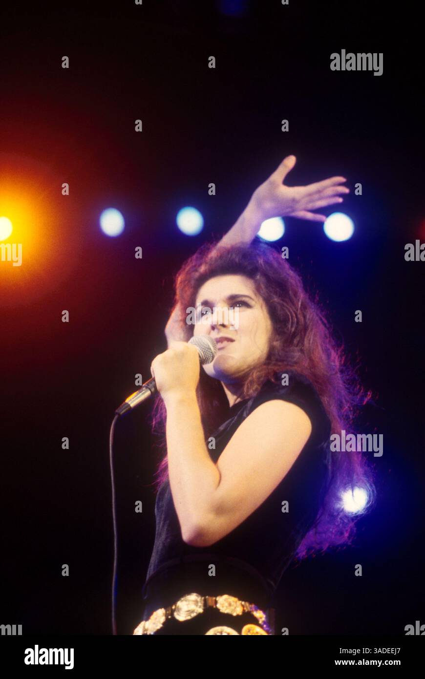 Celine dion 1991 hi-res stock photography and images - Alamy