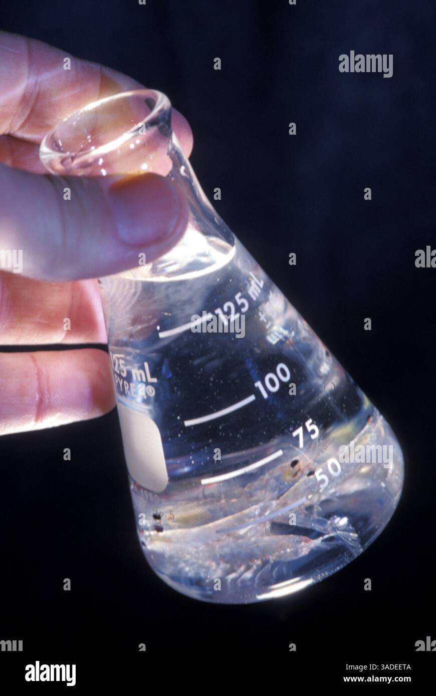 Jan 01, 2000; At Sea, ANTARCTICA; Scientists aboard the NSF research ...