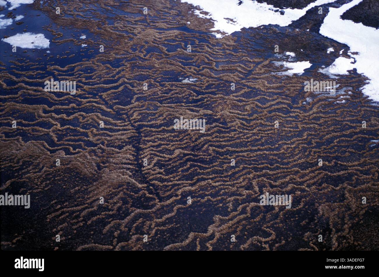 Solifluction lobes hi-res stock photography and images - Alamy