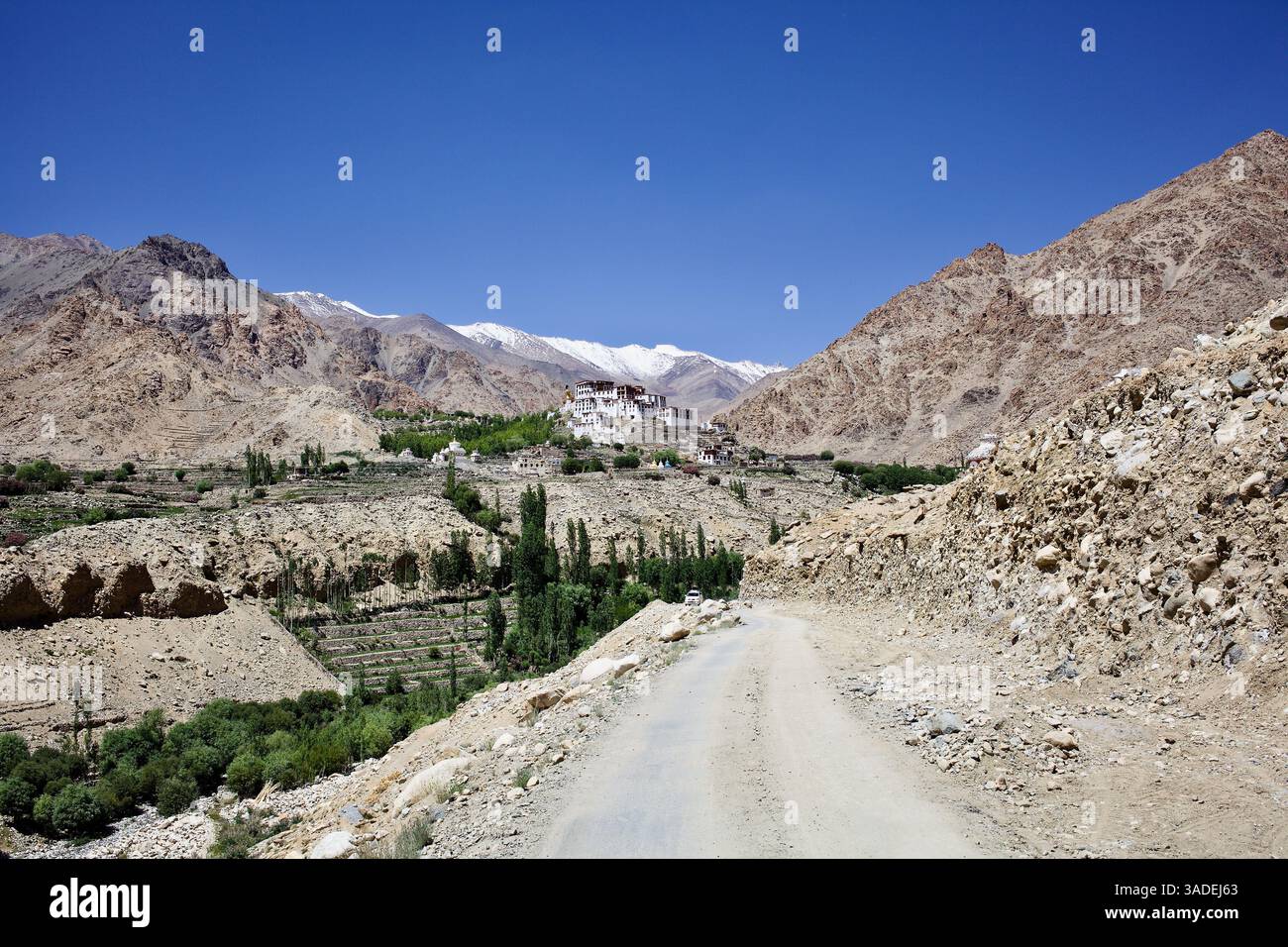 Dusty mountain road leading to Likir Monastery, set among poplar-lined ...