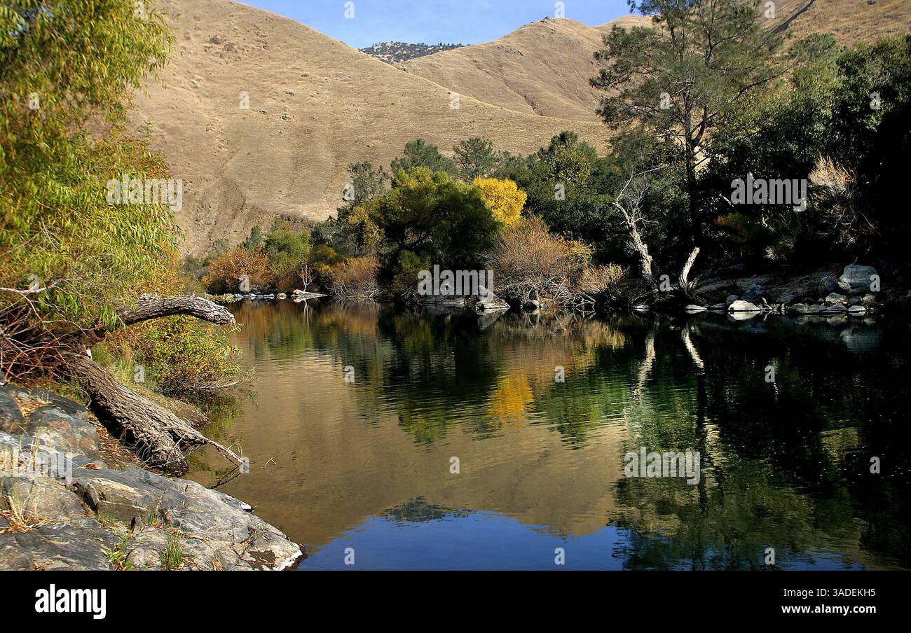 The last of the fall colors are starting to dwindle in the Kern River ...