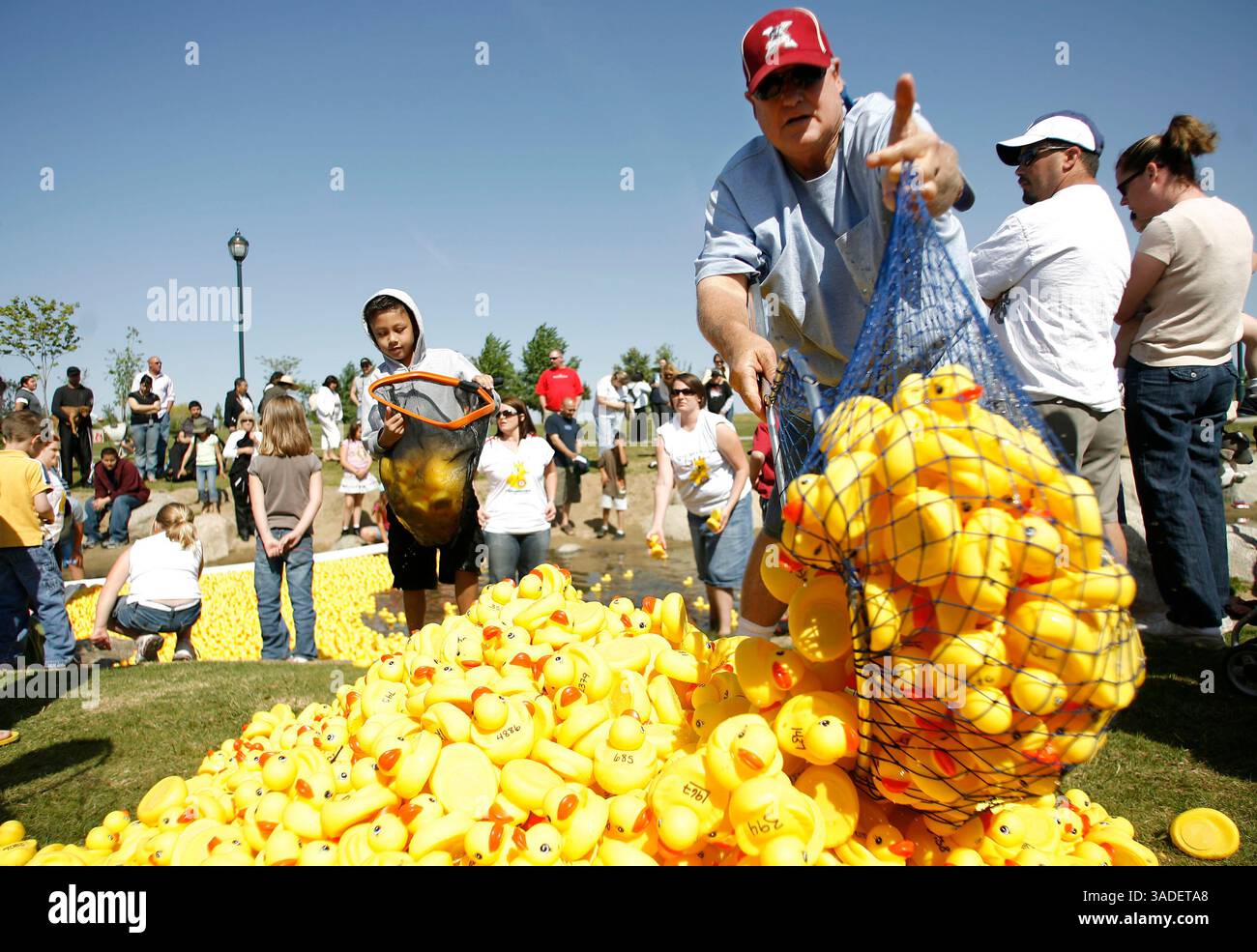 Duck race losing hi-res stock photography and images - Alamy