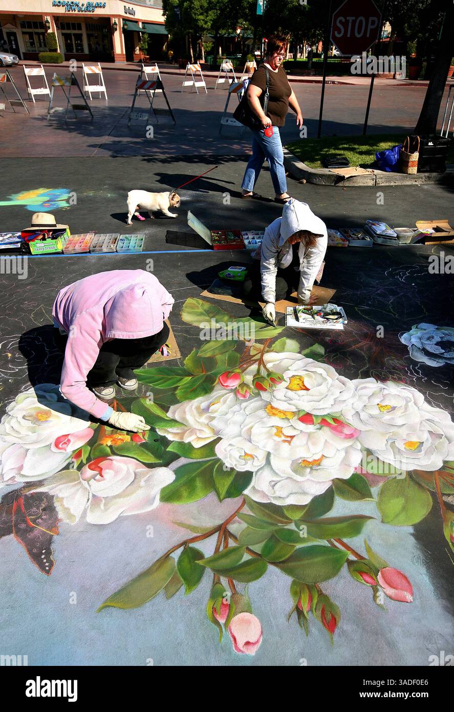 Casey Christie / The Californian.A lady walks her dog past two ...