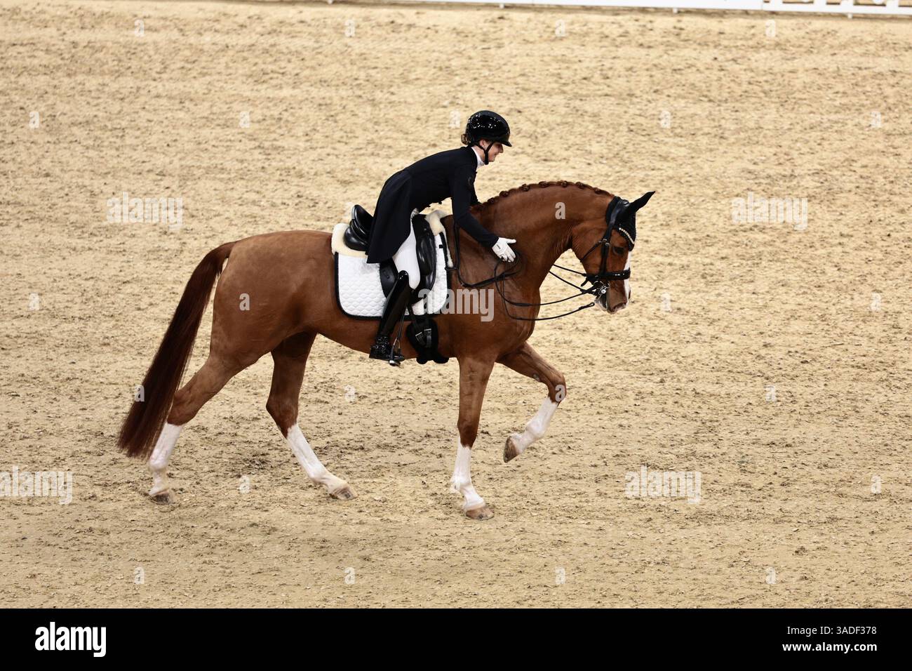 Bianca Nowag-Aulenbrock of Germany with Florine OLD during the Grand ...
