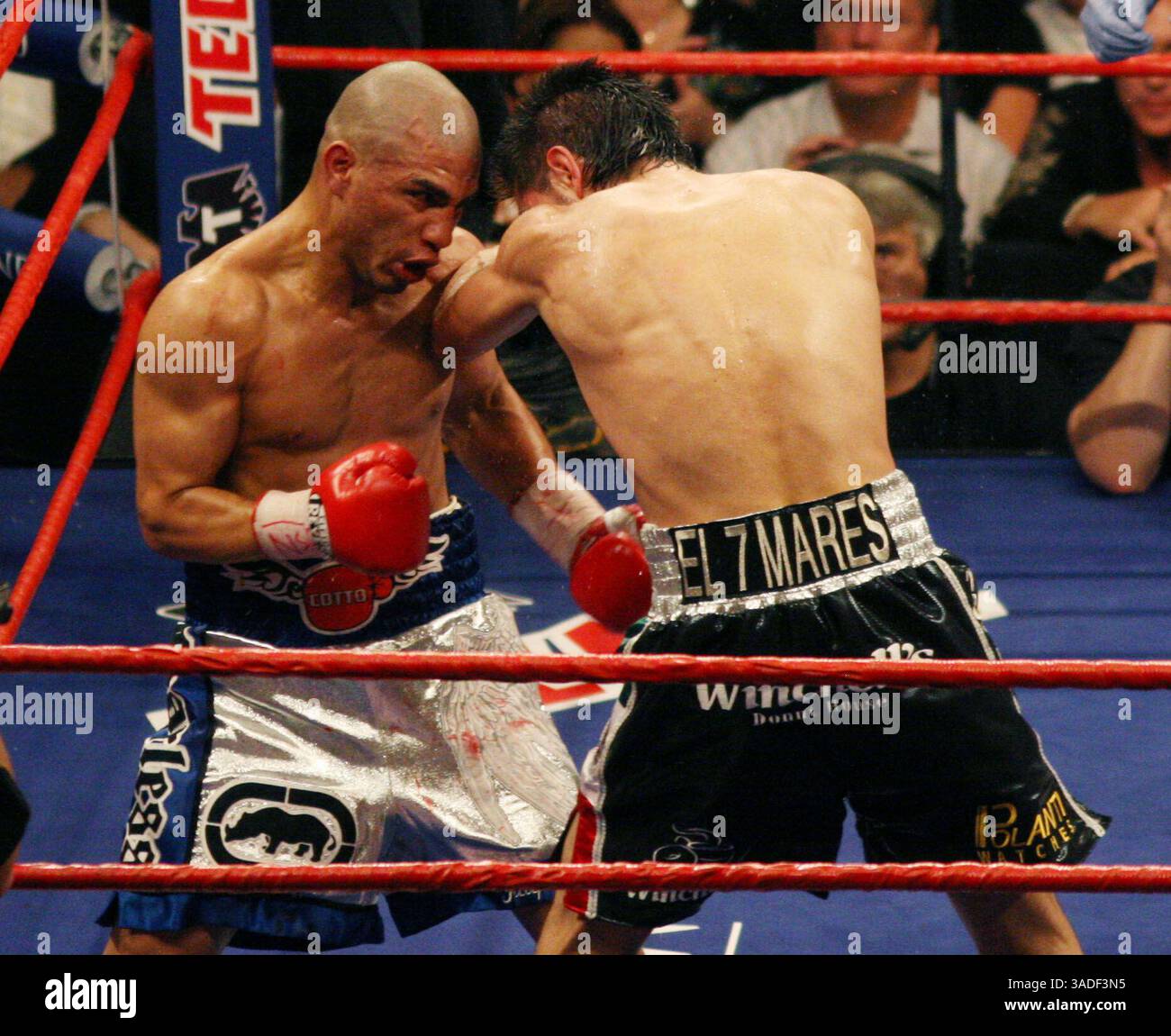 Antonio margarito miguel cotto hi-res stock photography and images - Alamy