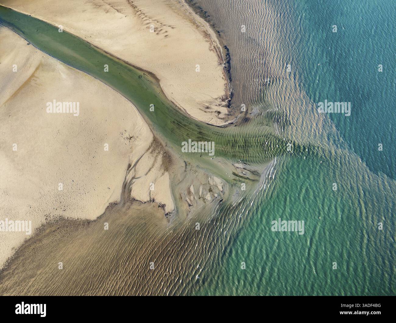 Aerial photograph, top down view of the Radolfzell Aach estuary with ...