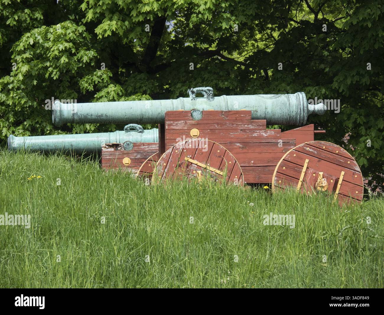 Two antique cannons on wooden wagon wheels stand in the tall grass in ...