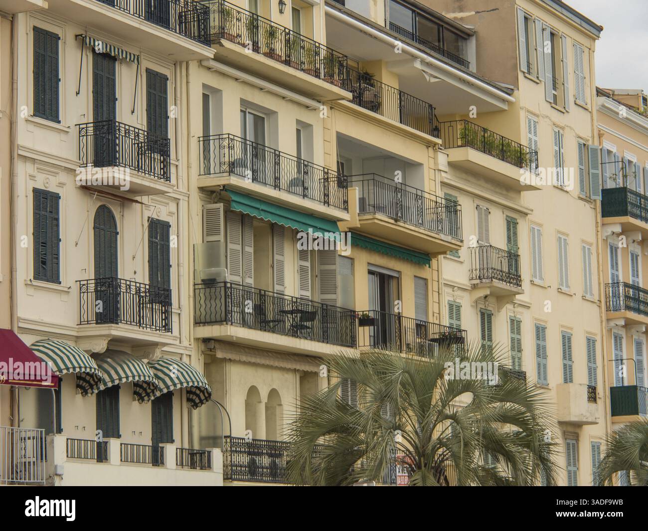 Row of old buildings with balconies and palm trees in urban ...
