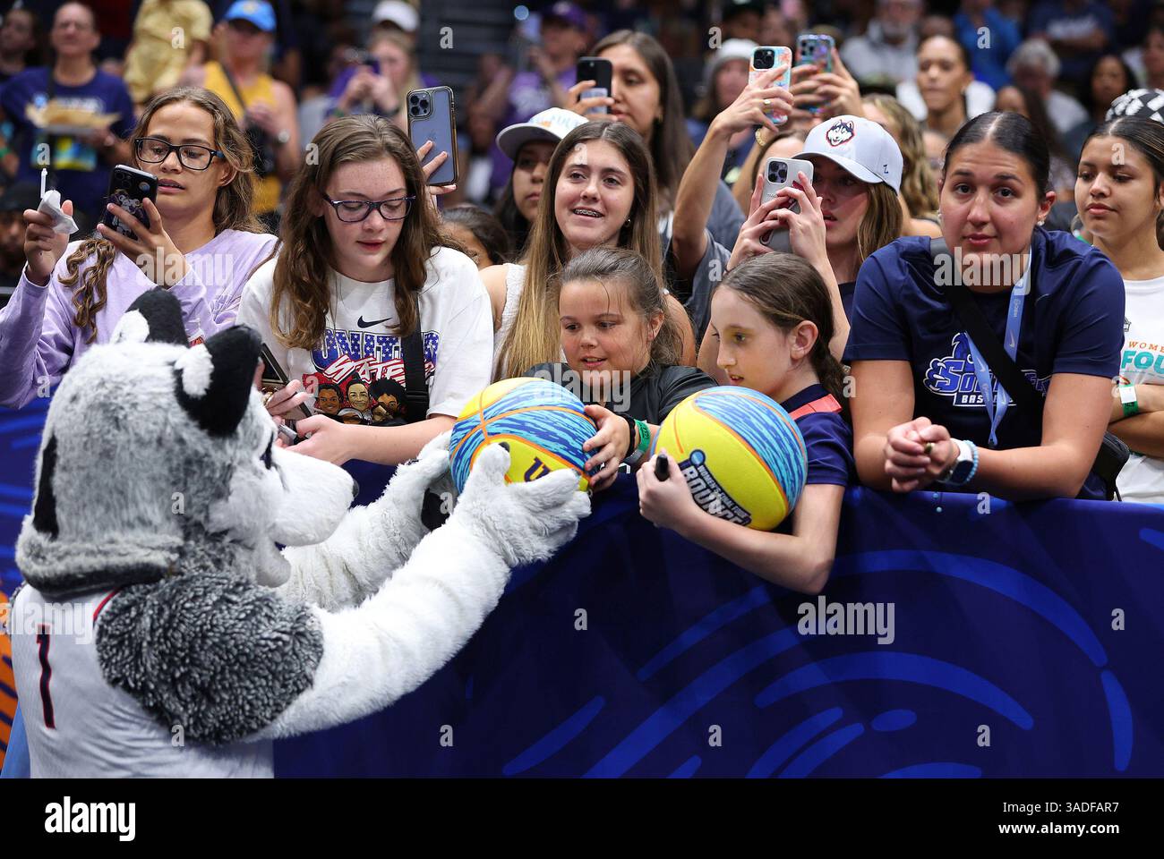 TAMPA, FL - APRIL 05: UConn Huskies mascot Jonathan interacts with fans ...
