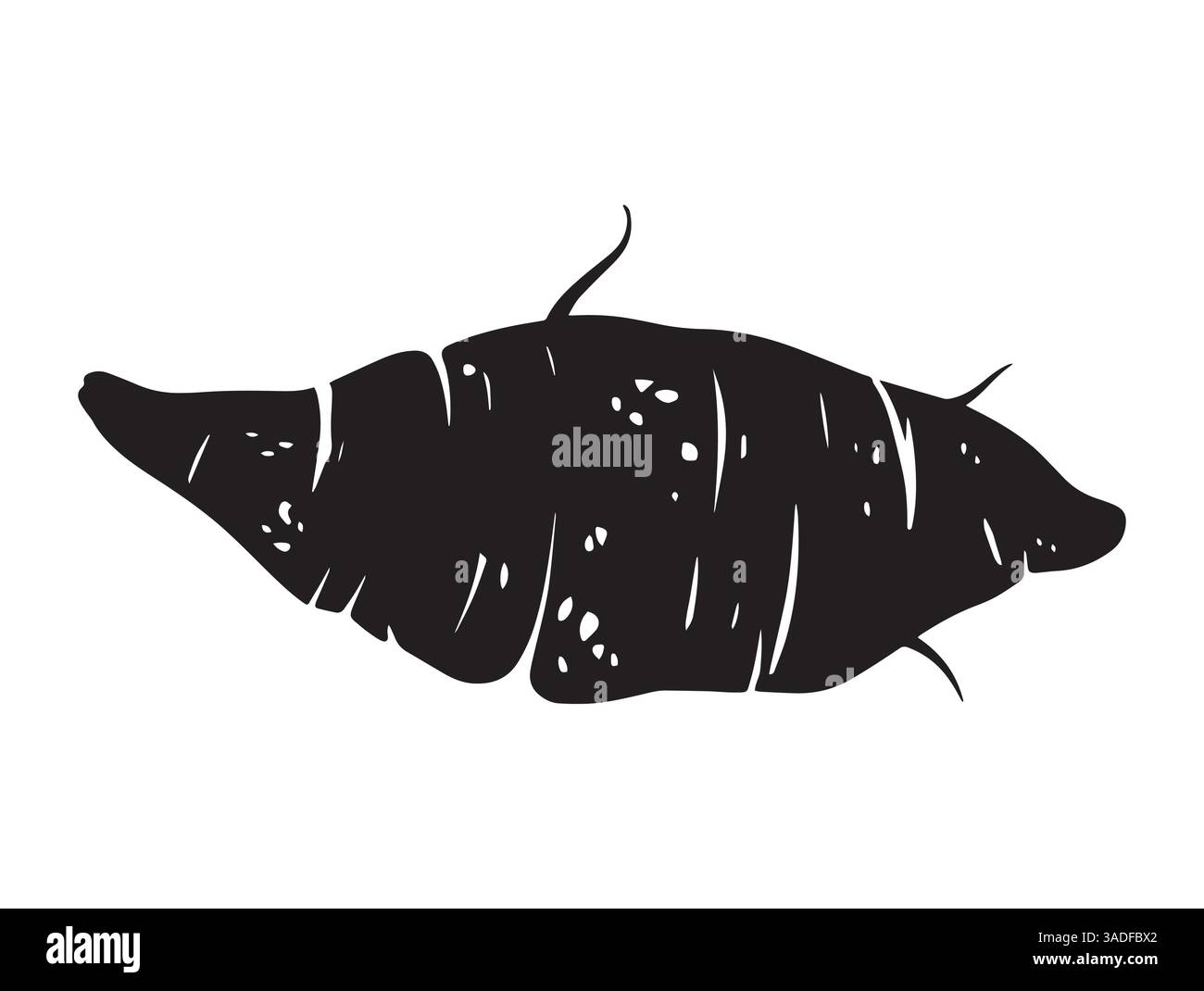 Single potato black background Stock Vector Images - Alamy