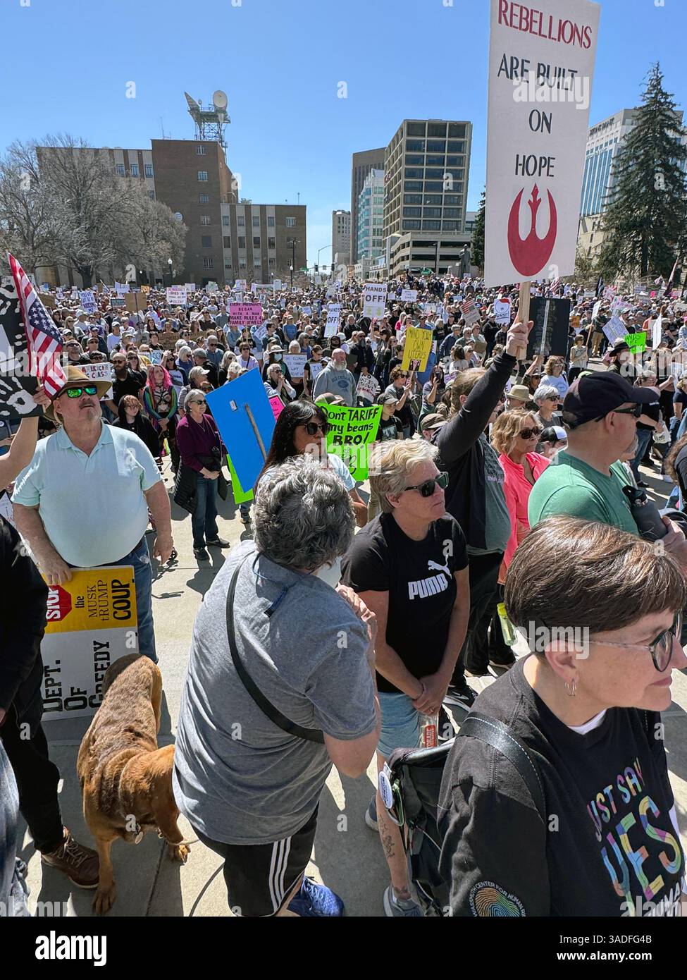 Tariff protest in Boise Idaho at Capitol, April 5 2025 Stock Photo - Alamy