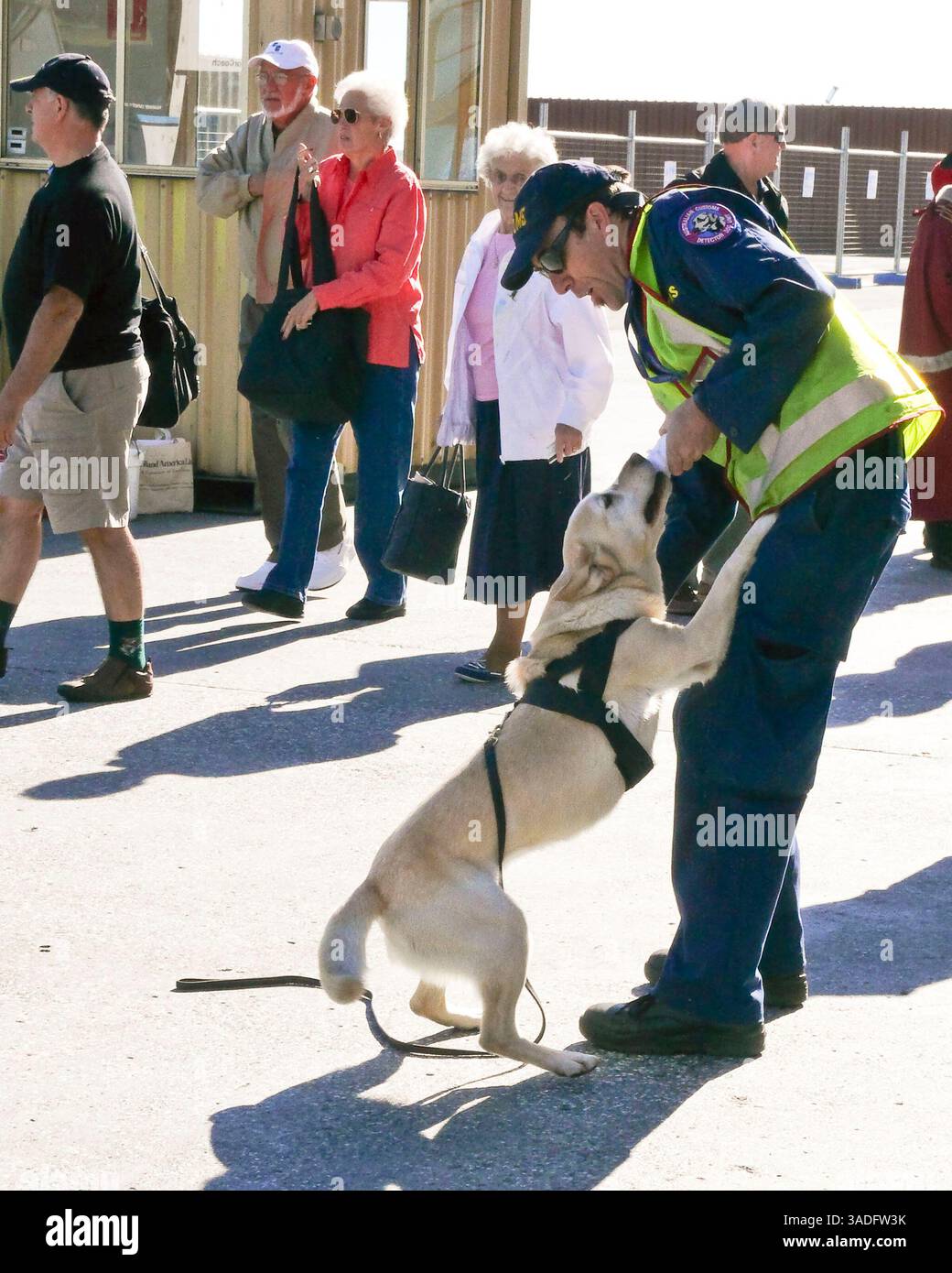 Nov 04, 2008 - Burnie, Tasmania, Australia - An officer of the ...