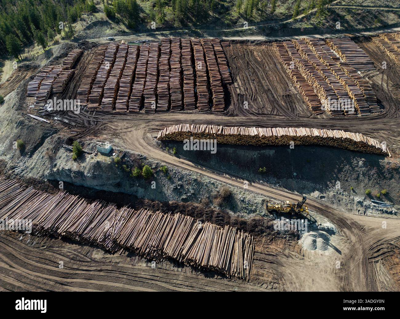 In an aerial view, logs are seen stacked at Gorman Brothers Lumber ...