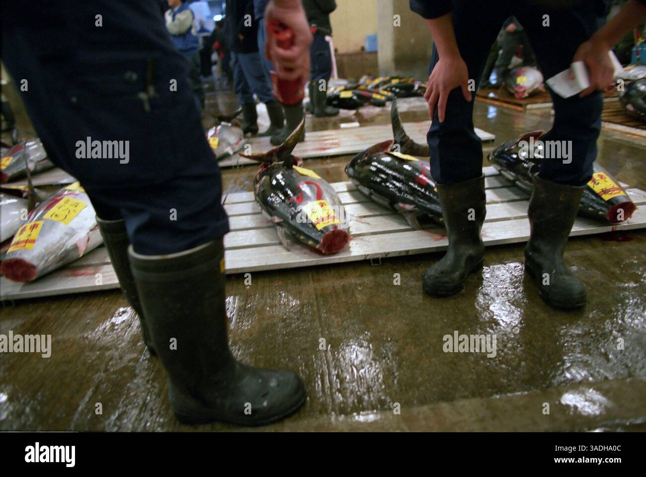 Apr 15, 2005; Tokyo, JAPAN; Tsujiki Fish Market, Tokyo, Japan. One of ...