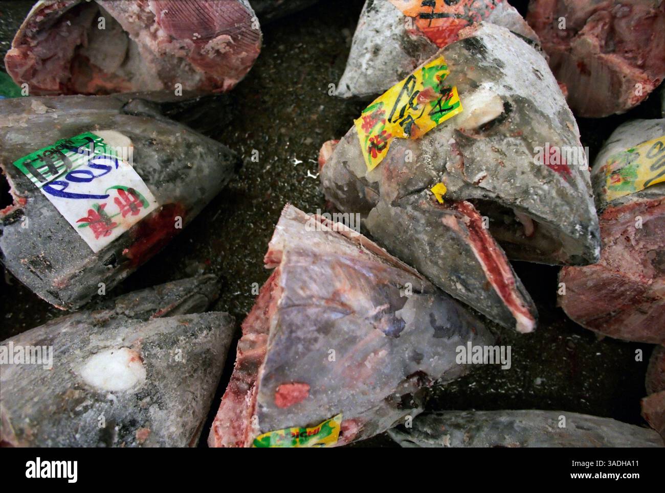 Apr 15, 2005; Tokyo, JAPAN; Tsujiki Fish Market, Tokyo, Japan. One of ...