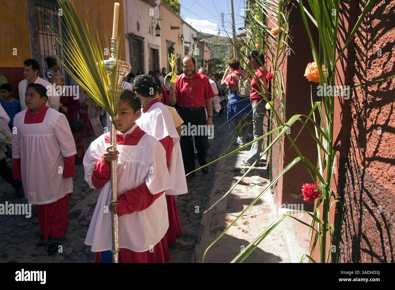 Apr 04, 2004; San Miguel de Allende, Guanajuato, MEXICO; The Palm ...