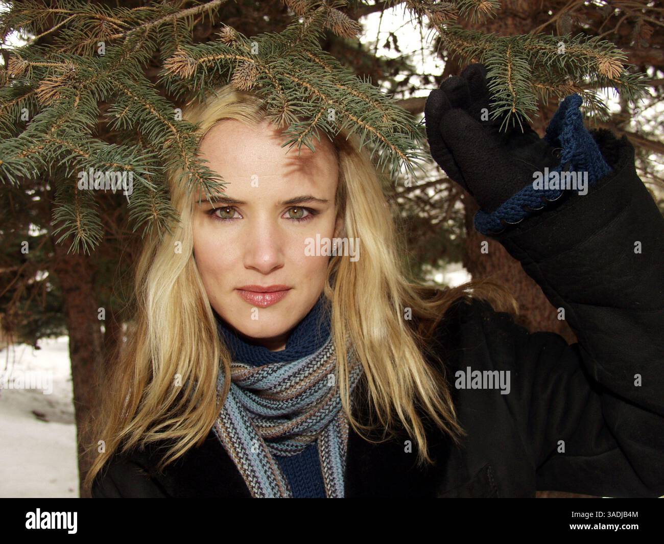 323700 hi-res stock photography and images - Alamy