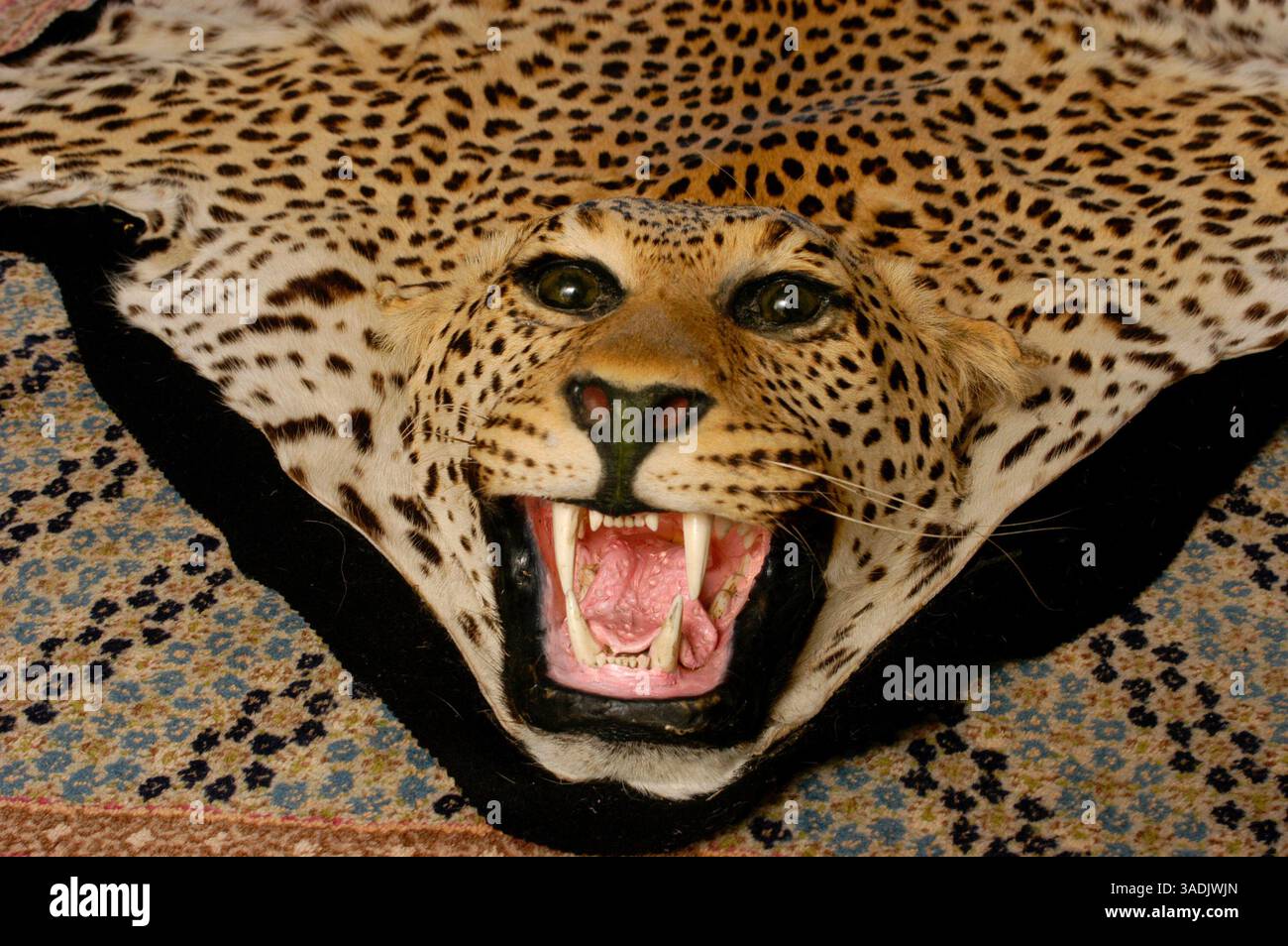 Apr 12, 2004; Logansville, GA, USA; BURT REYNOLDS and LONI ANDERSON ...