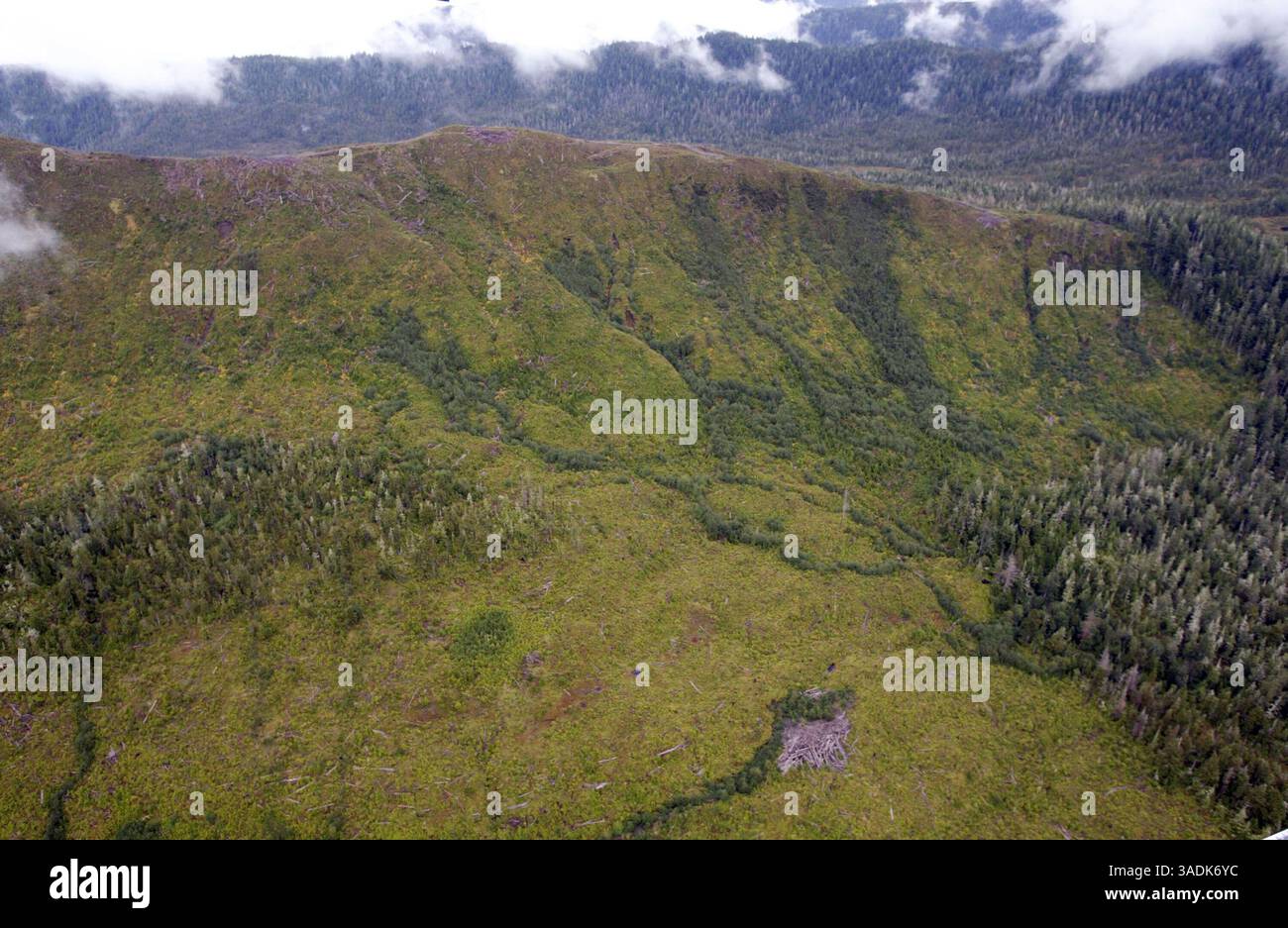 Sep 17, 2003; Ketchikan, AK, USA; Aerials of logging and deforestation ...
