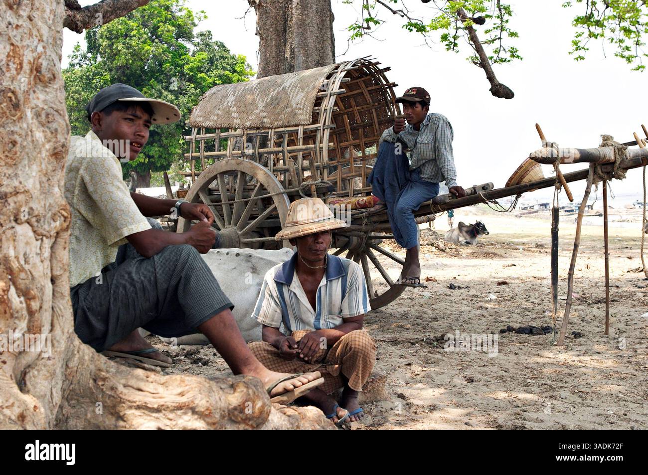 Apr 05, 2004; Mingun, BURMA (MYANMAR); A bull carriage driver in Mingun ...
