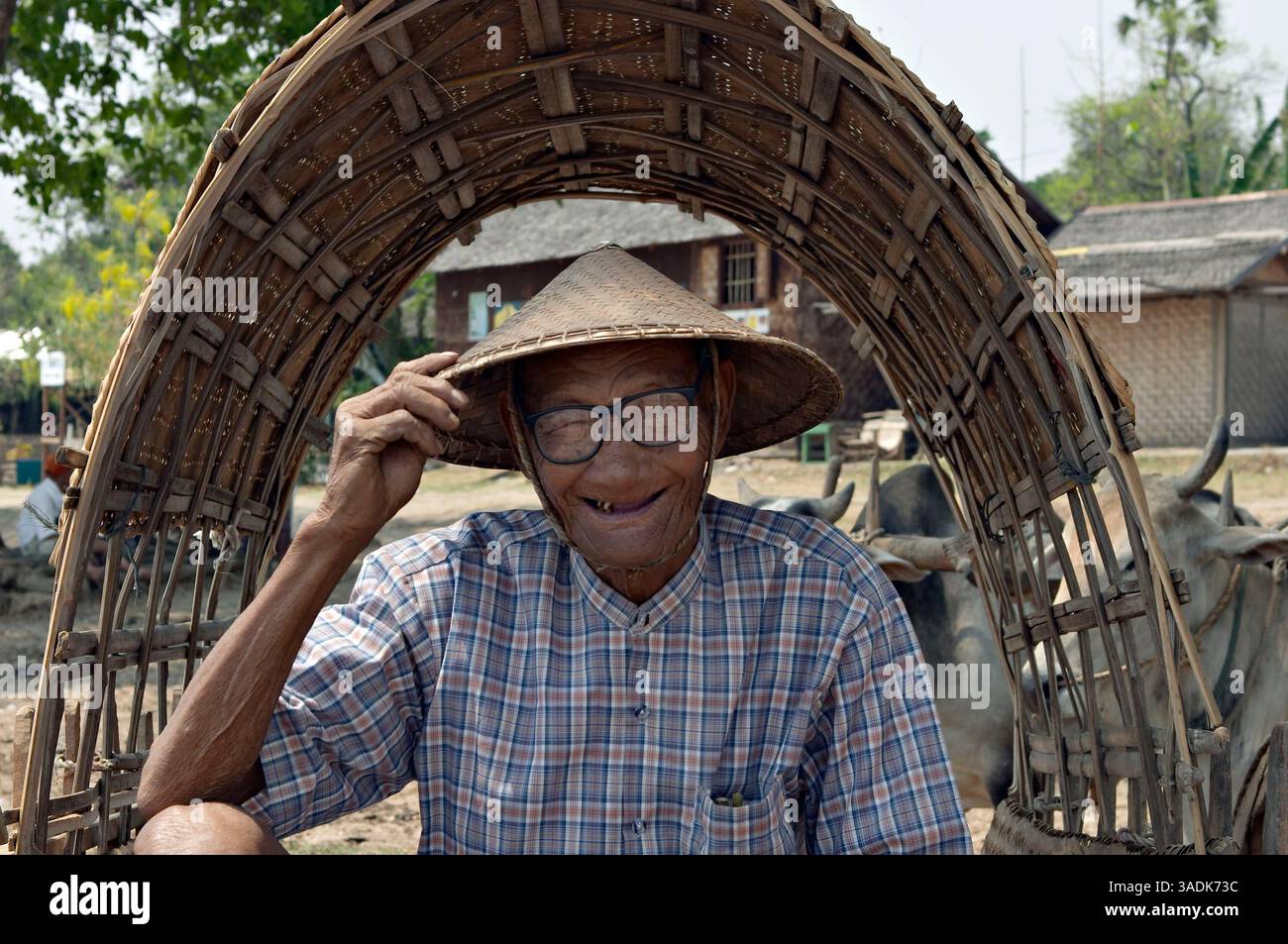 Apr 05, 2004; Mingun, BURMA (MYANMAR); A bull carriage driver in Mingun ...